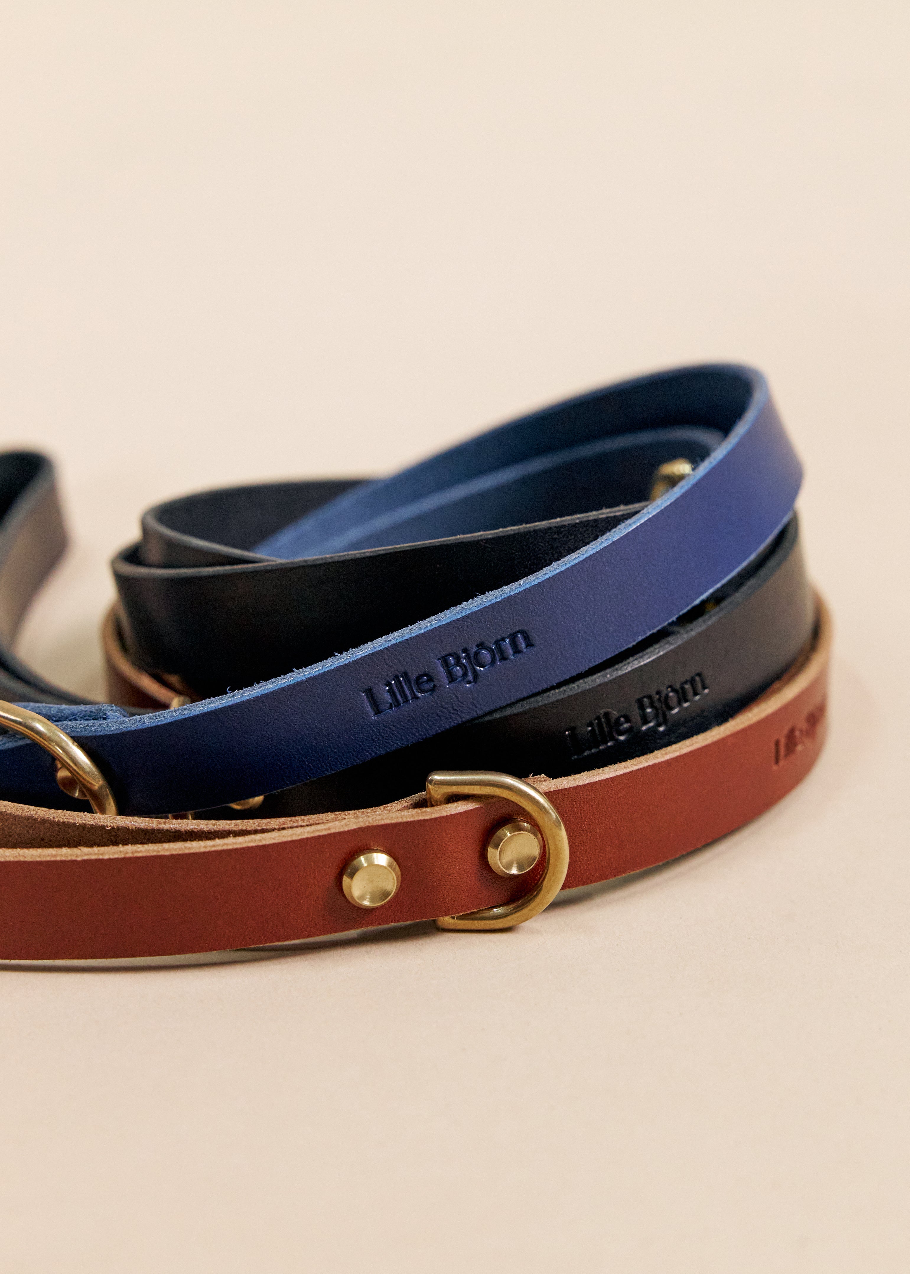 Hands-Free vs Traditional Leashes: Which Style Works Best for You ...